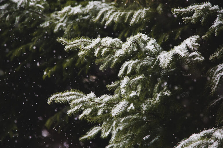 Winter in Bariloche: A Guide to Skiing in Argentina