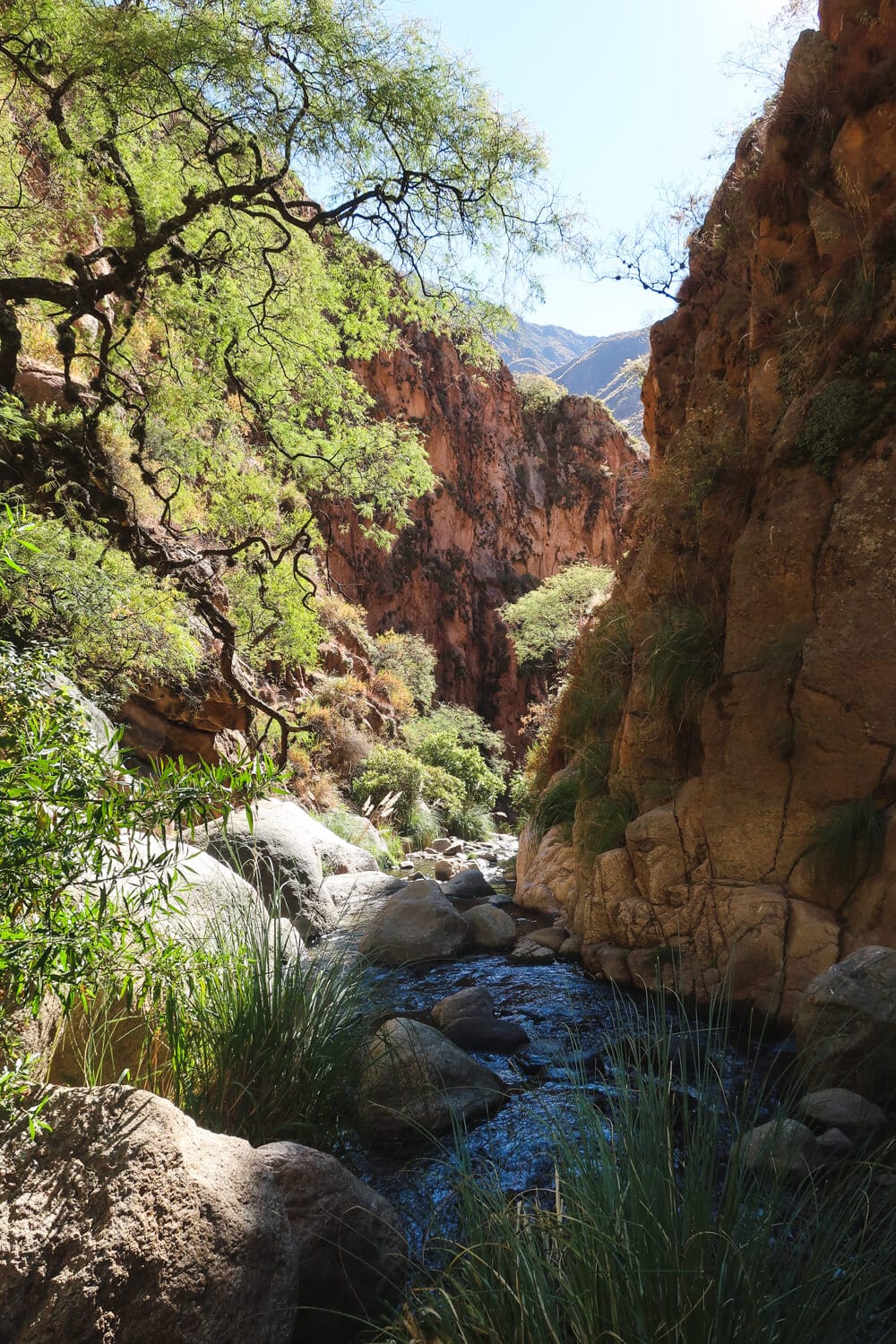 Things to do in Cafayate, Argentina