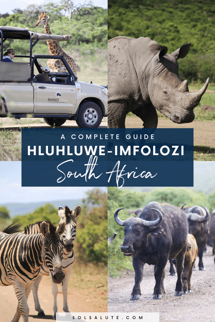 Hluhluwe-Imfolozi Park: Complete Guide to Kwa-Zulu Natal's Best Safari