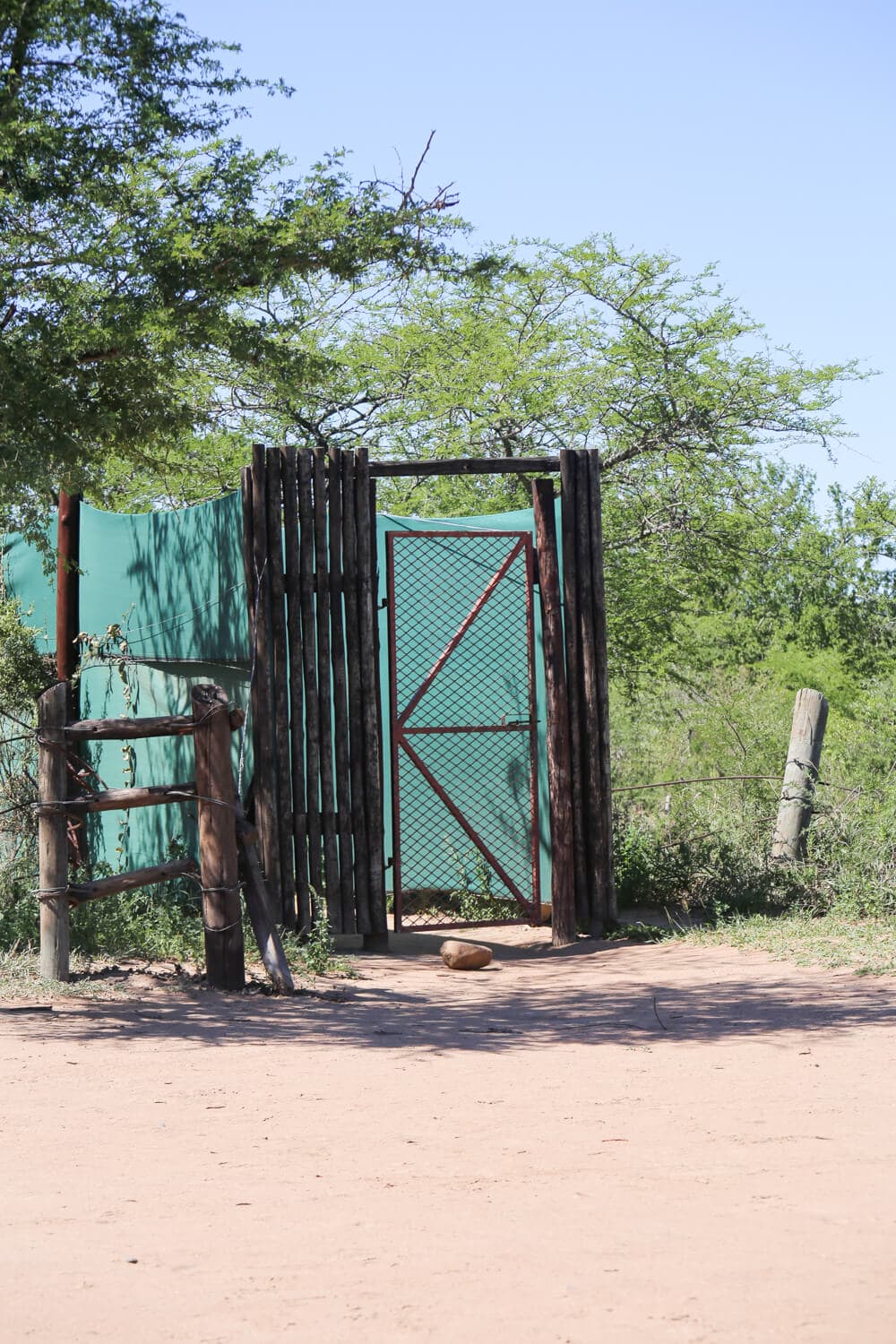 Hluhluwe-Imfolozi Park: Complete Guide to Kwa-Zulu Natal's Best Safari
