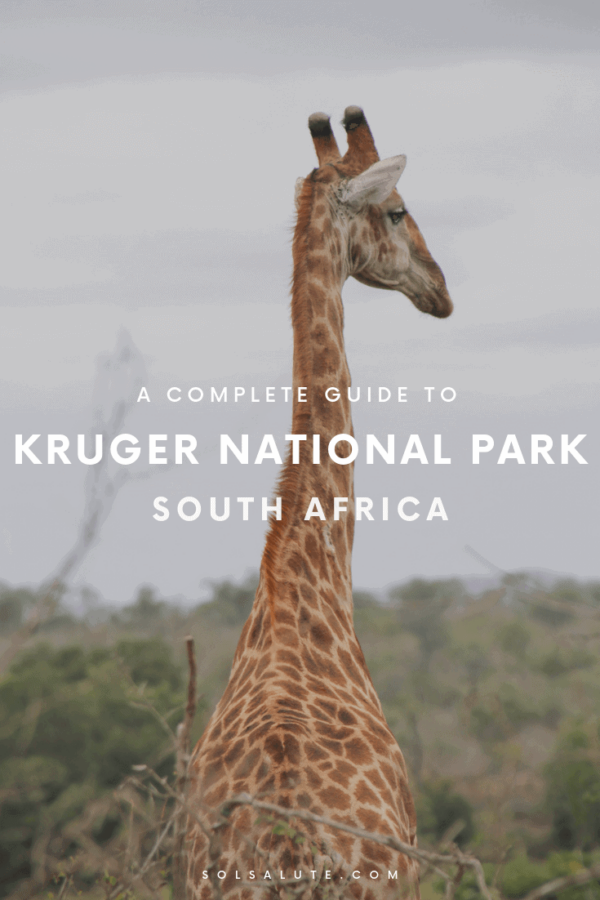 A Complete Guide to Visiting Kruger National Park, South Africa