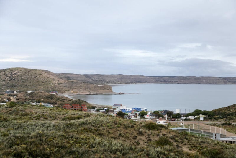 Visit Peninsula Valdes: The Perfect Itinerary for Patagonia Wildlife