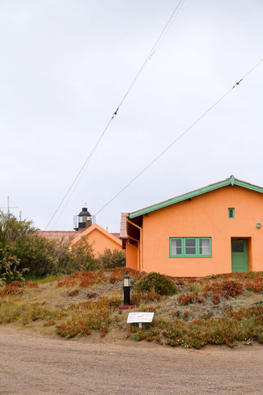 Visit Peninsula Valdes: The Perfect Itinerary for Patagonia Wildlife