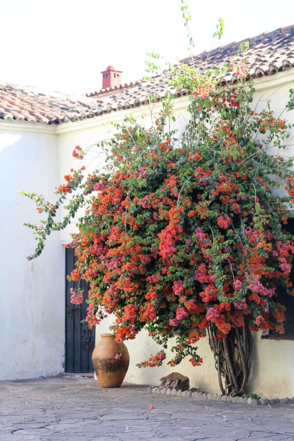 The Best Things to do in Salta, Argentina