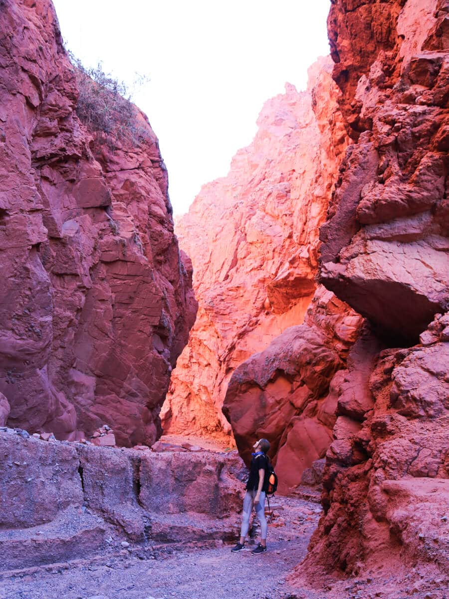 The Best Argentina Hikes: 15 Iconic Trails & Pro-Tips to Succeed