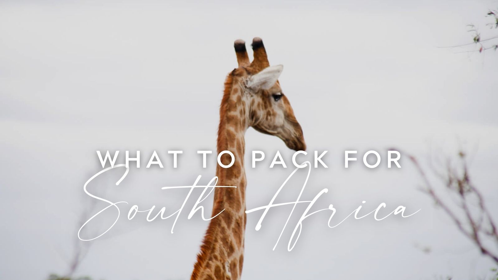 A South Africa Packing List: What to Pack for South Africa