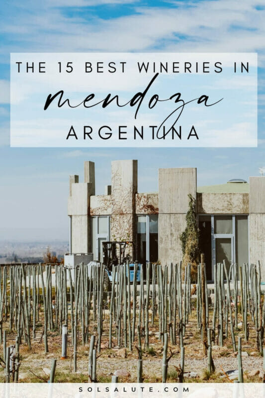 The Best Wineries in Mendoza for 2025