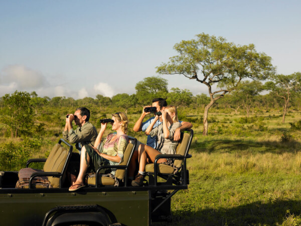 The 10 Best Binoculars for Safari & Game Viewing [2024 Edition]