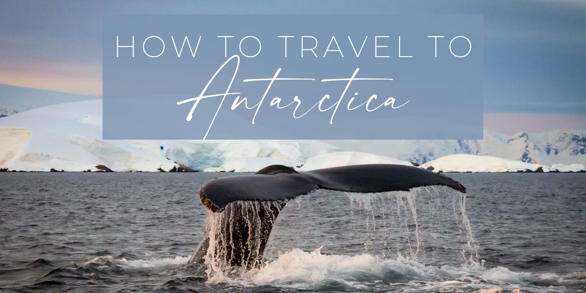 Antarctica F.A.Q.: What to know about traveling to Antarctica ...