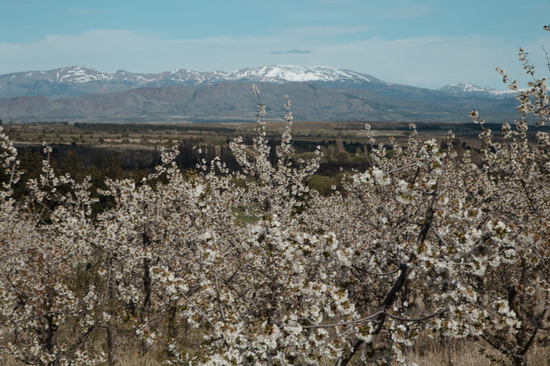 Things to do in Trevelin, Argentina: A Complete Travel Guide