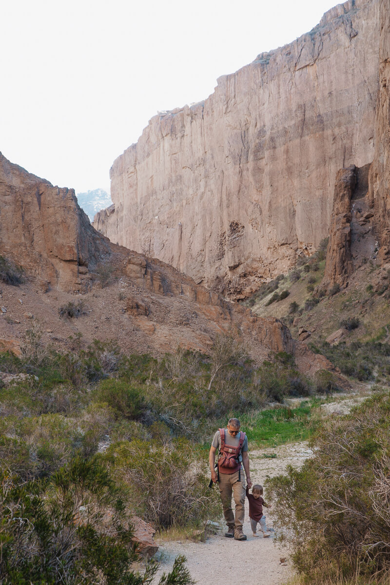 Piedra Parada, Chubut: A Natural Wonder in the Patagonian Steppe ...