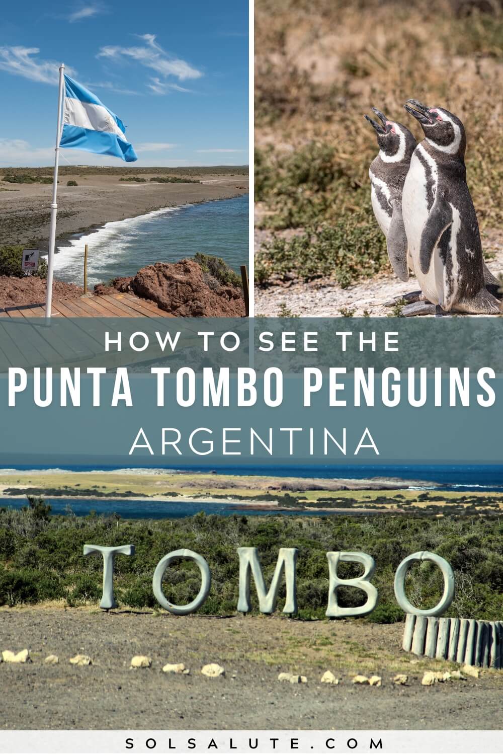 Punta Tombo, Puerto Madryn's Penguin Hub - solsalute.com